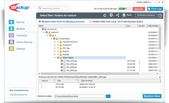 Versioning - IBackup for Windows