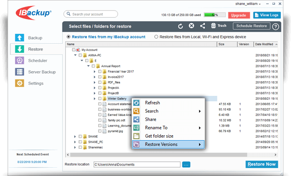 Versioning - IBackup for Windows